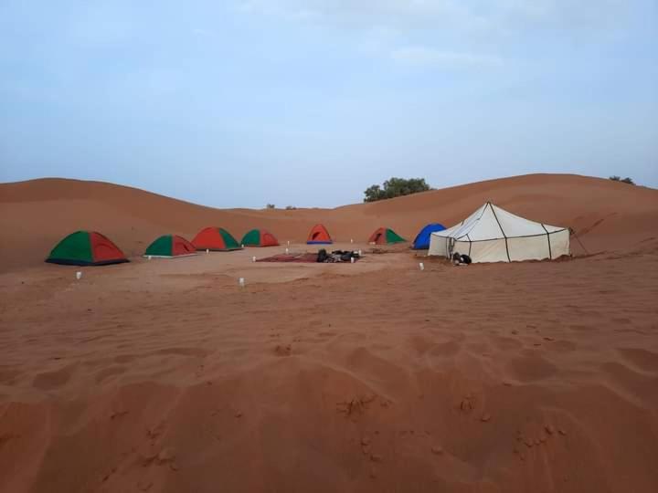 Desert spirit life, Tâlhâ – Updated 2024 Prices