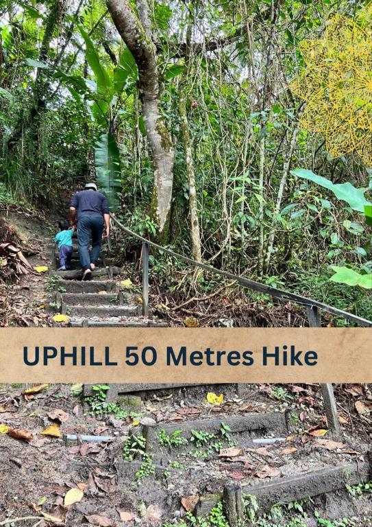 The Backyard Glamping Cameron Highlands, Tanah Rata (updated prices 2025)