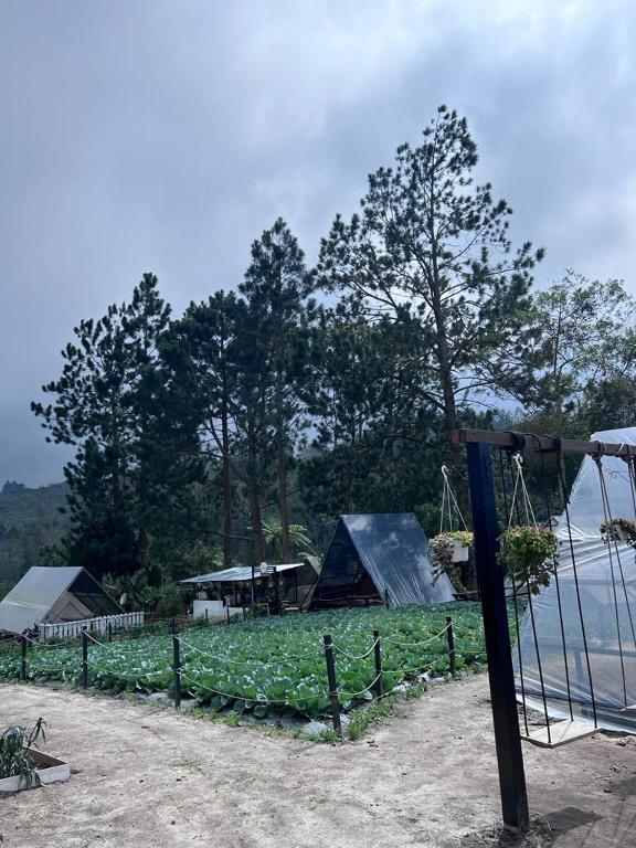 The Backyard Glamping Cameron Highlands, Tanah Rata (updated prices 2025)