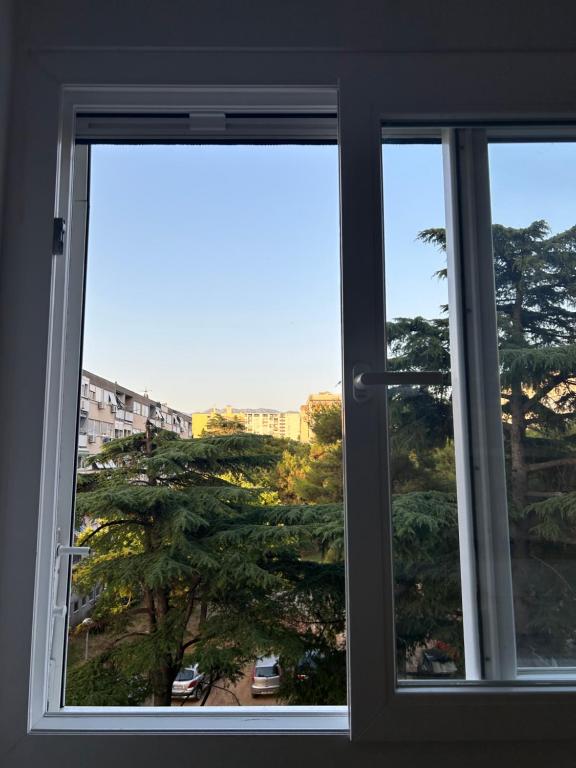 Sammy's place - Cozy Apartment for two with Abundant Sunlight and ...