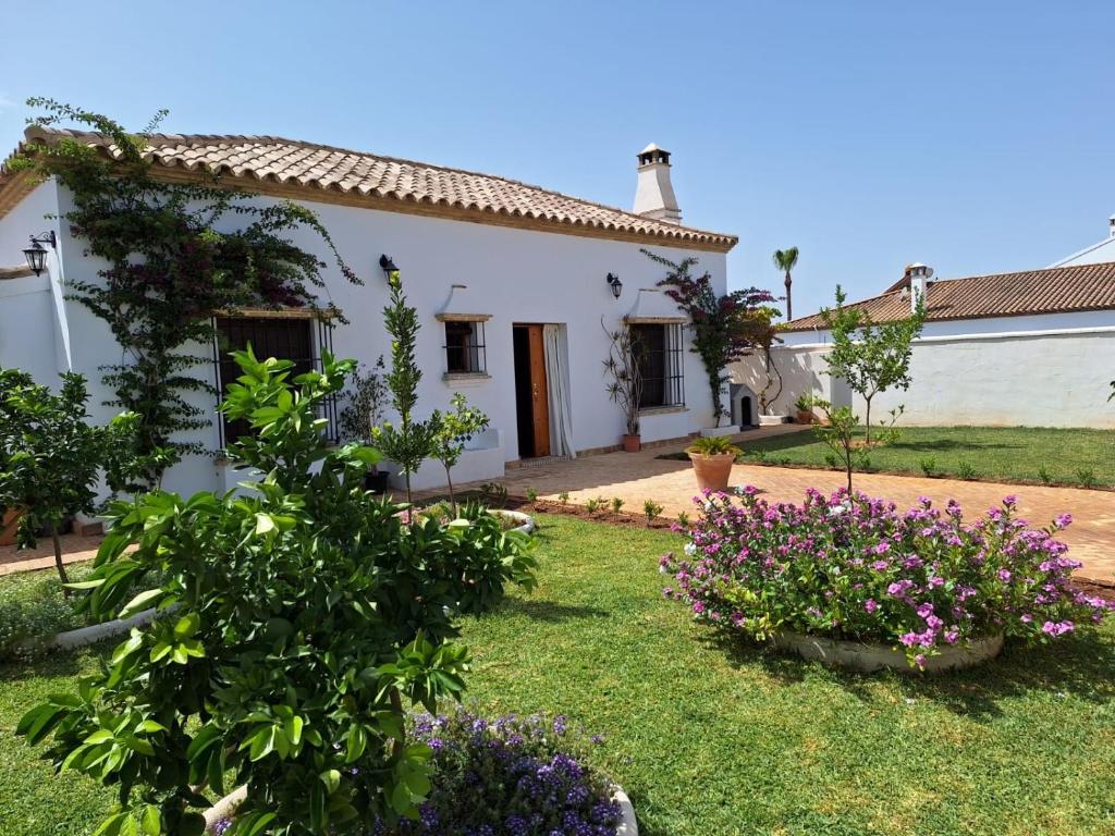 Oasis of peace in the stunning Andalusian Countryside - Montellano