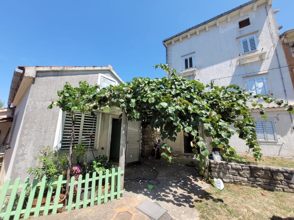 Casa Maya, Triban (updated prices 2025)