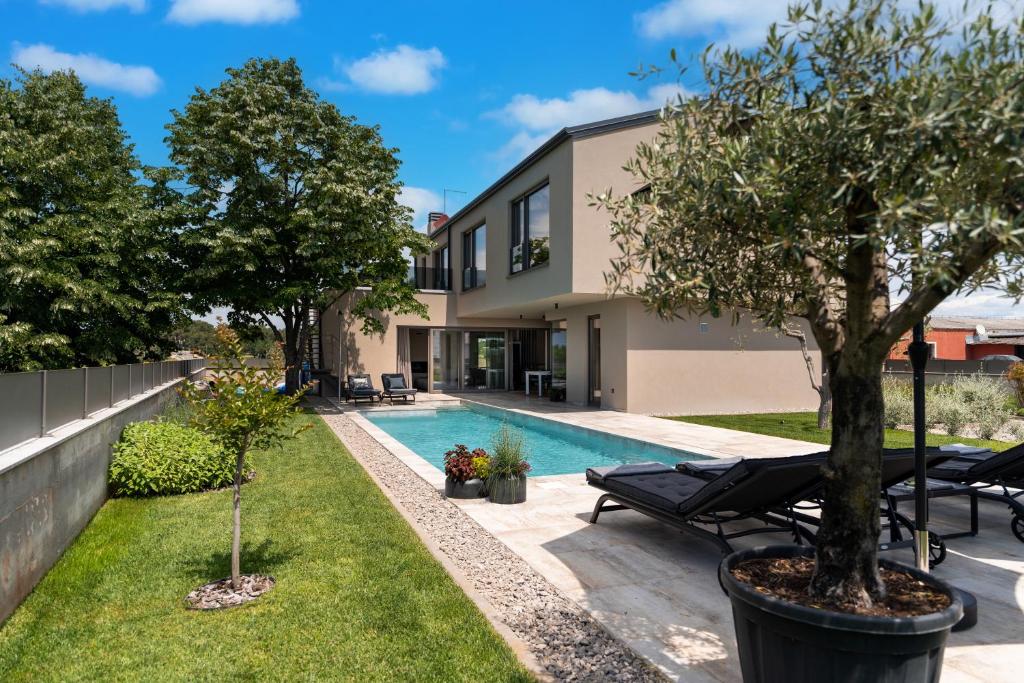 Lipa Tree, Novigrad Istria (updated prices 2025)