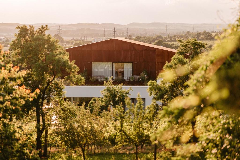 REZAVY, Mikulov (updated prices 2025)