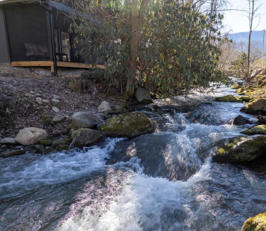 Honeybee Cottage , Pickleball Court, Creek, WIFI, Mountain Views ...