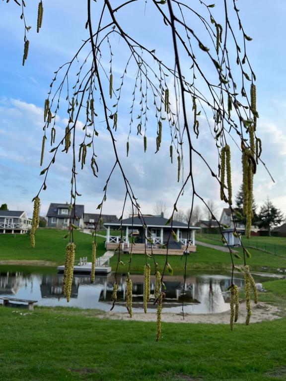 Gandro lizdas, Lekėčiai (updated prices 2025)