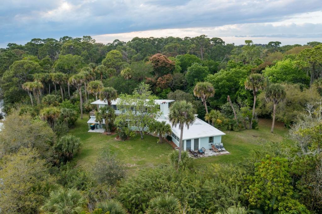 PALM POINT: Oasis In The Heart Of Melbourne, Melbourne Village (updated ...