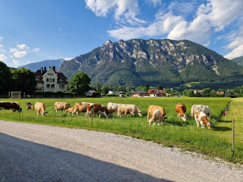 Leo-Hof, Hirschwang (updated prices 2025)