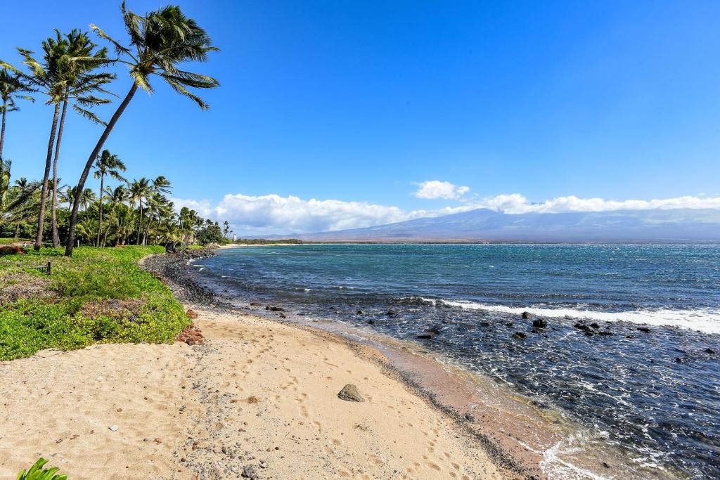 Wailuku Beach