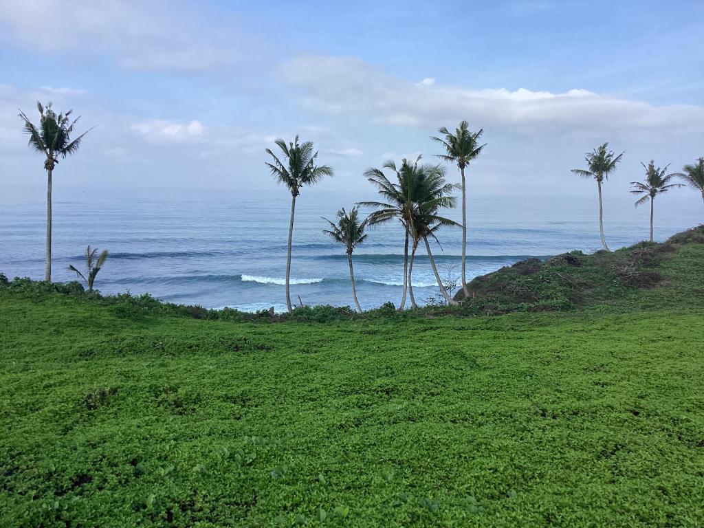 Balian Seaview Surf Villas, Balian (updated prices 2026)
