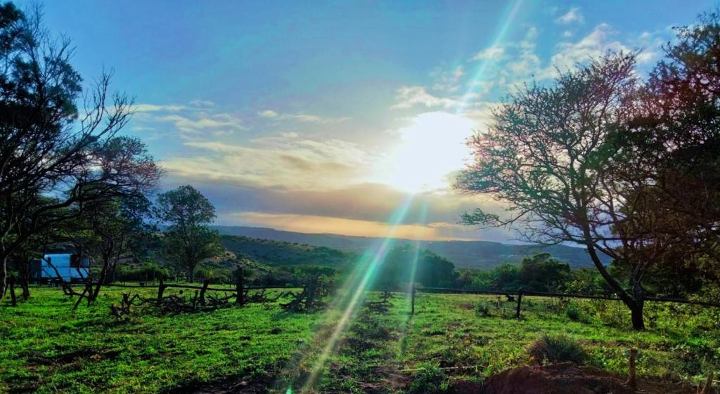 Fig tree farm, East London (updated prices 2025)