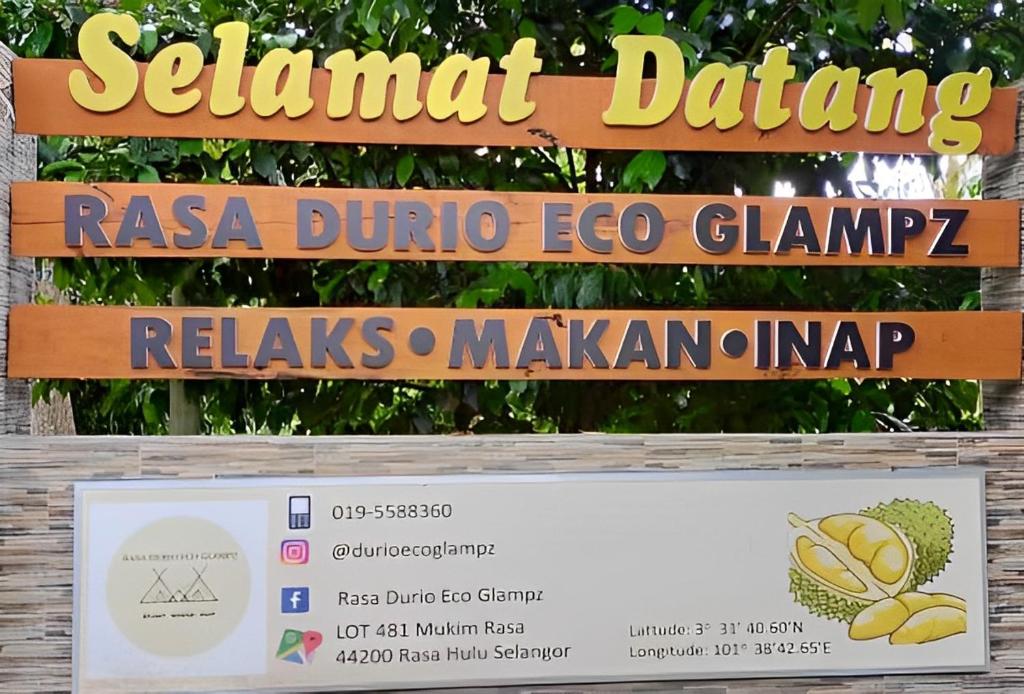 Rasa Durio Eco Glampz, Rasa (updated prices 2026)
