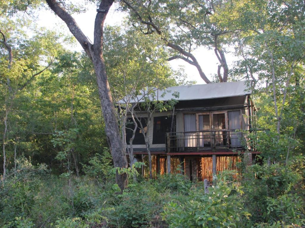 Lodge Miombo Safari Camp, Dete, Zimbabwe - Booking.com