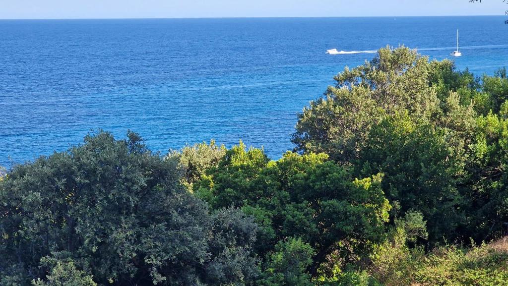 TARCO, Conca (updated prices 2025)