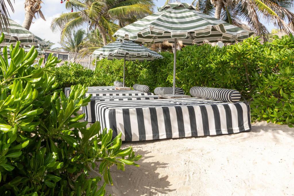 Hotel Panamera, Tulum (updated prices 2025)