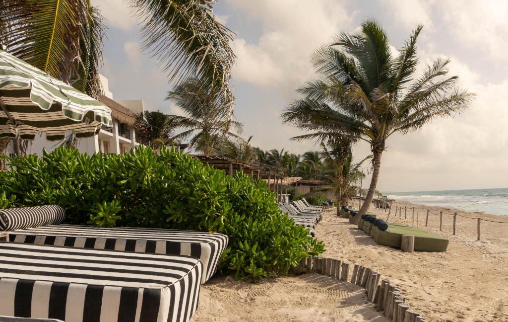 Hotel Panamera, Tulum (updated prices 2025)