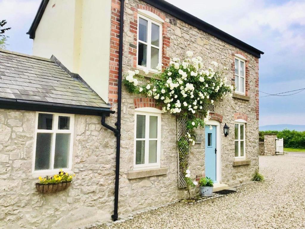 Donadea Cottage, Caerwys – Updated 2024 Prices