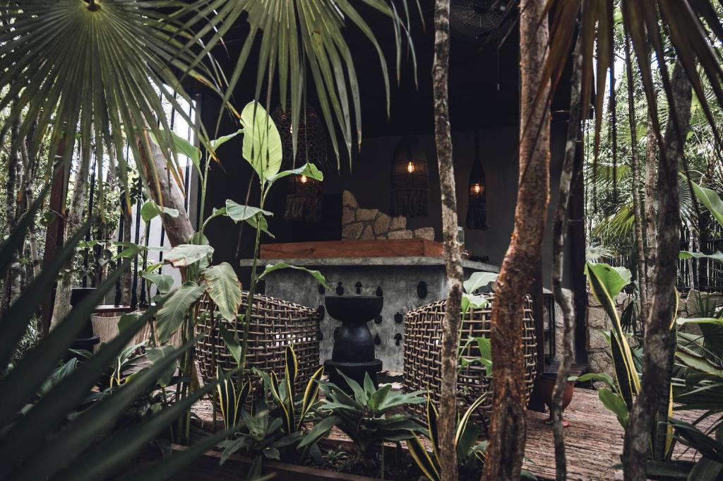 Siwa Tulum Unique Hotel & Spa, Tulum (updated prices 2025)