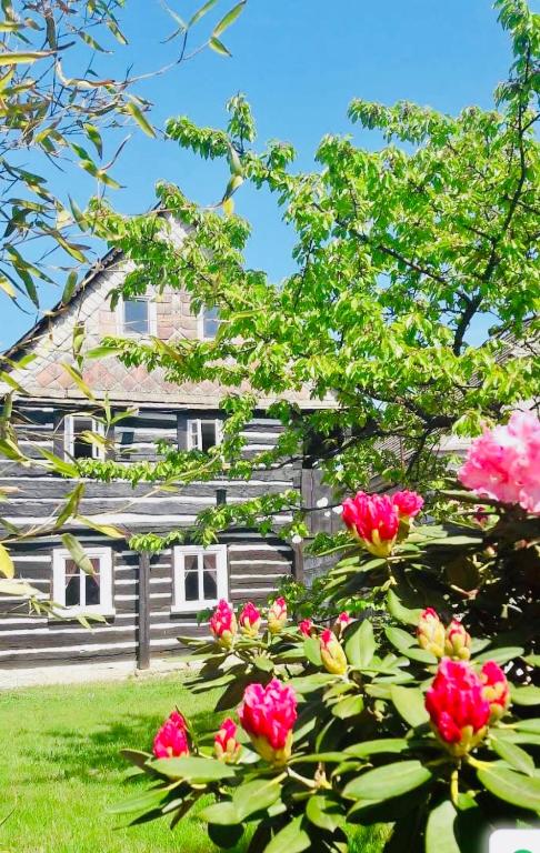 Bezva relax Bezděz, Luka (precios actualizados 2024)