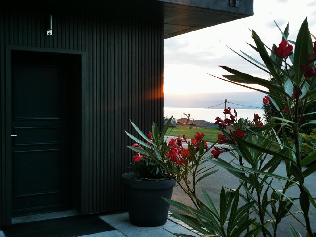 Bouscatière, Publier (updated prices 2025)