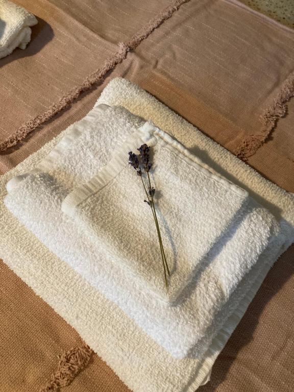 Country house Pod jednym dachem, Grabów nad Prosną, Poland - Booking.com