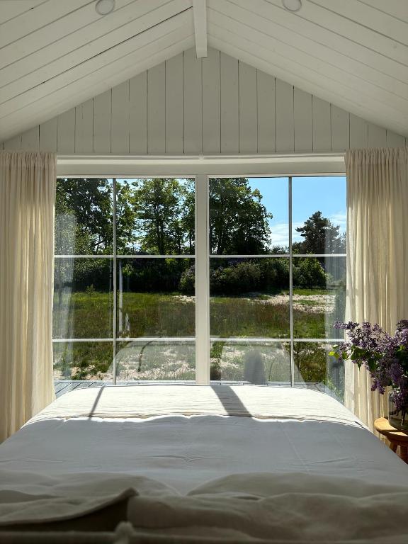 Ragnar Glamp Pitrags Lux, Pitrags (updated prices 2025)