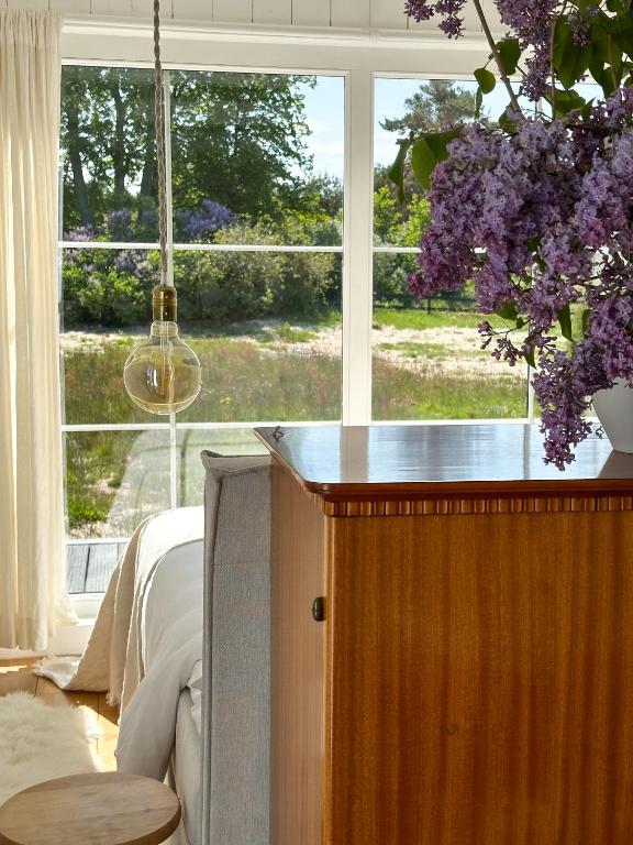 Ragnar Glamp Pitrags Lux, Pitrags (updated prices 2025)