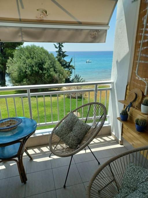 Απέραντο γαλάζιο Le grand blue, Mola Kalyva (updated prices 2026)