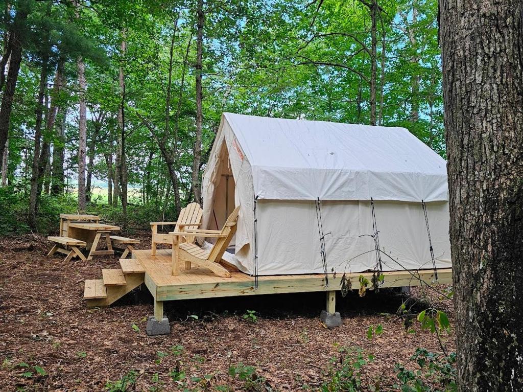 Tentrr Signature Site - Reflection Tree Art Farm Forest site, Deer ...