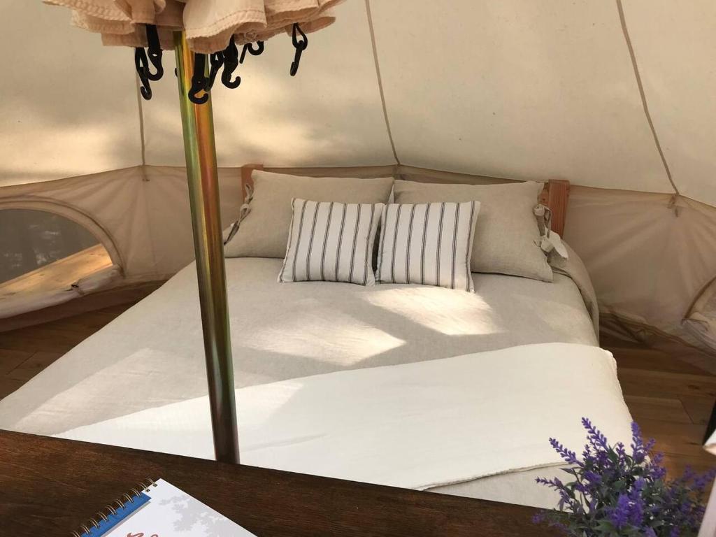Bee Glamping Farm, Victor (updated prices 2026)