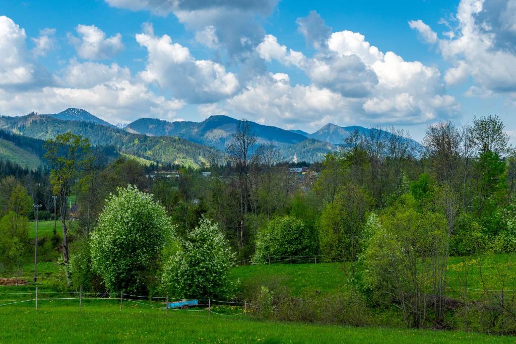 Rogata Chata Premium, Kościelisko, Kościelisko (updated prices 2025)