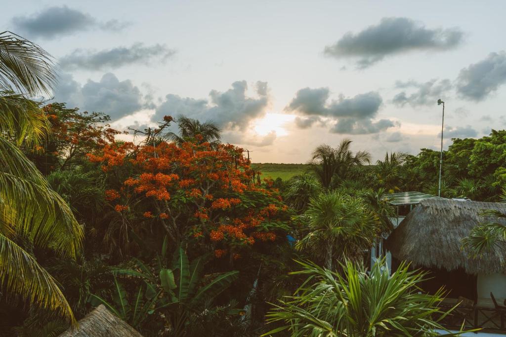 Elements Rituals Beachfront Bahia Soliman Tulum, Tulum (updated prices ...