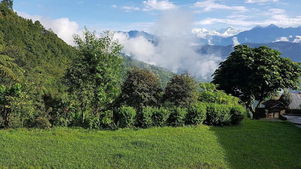 The Nature Stay Of Kaluk Rinchenpong West Sikkim - China