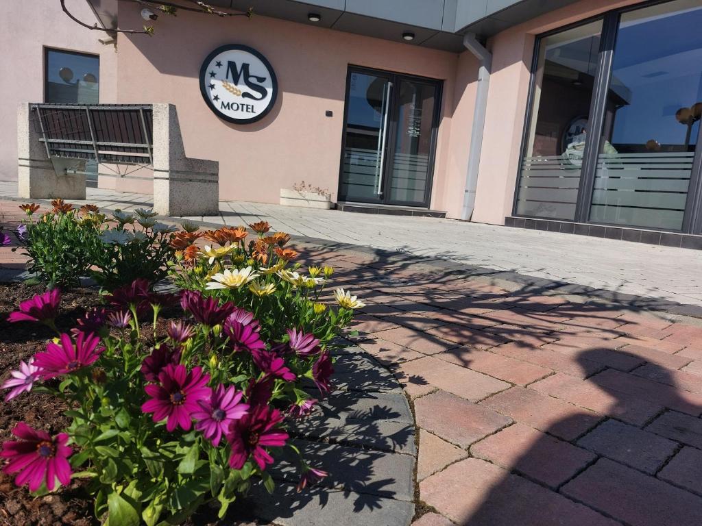 Motel MS, Srpski Itebej (updated prices 2025)