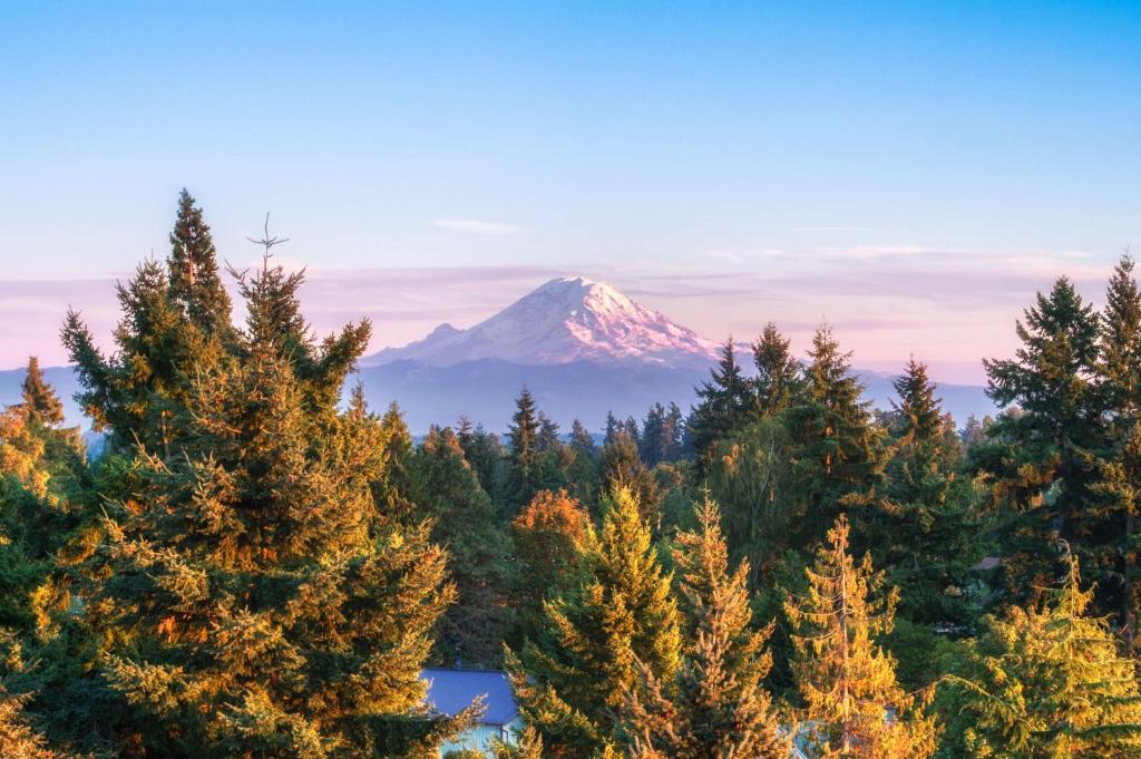 DoubleTree by Hilton Seattle Airport, SeaTac (updated prices 2025)