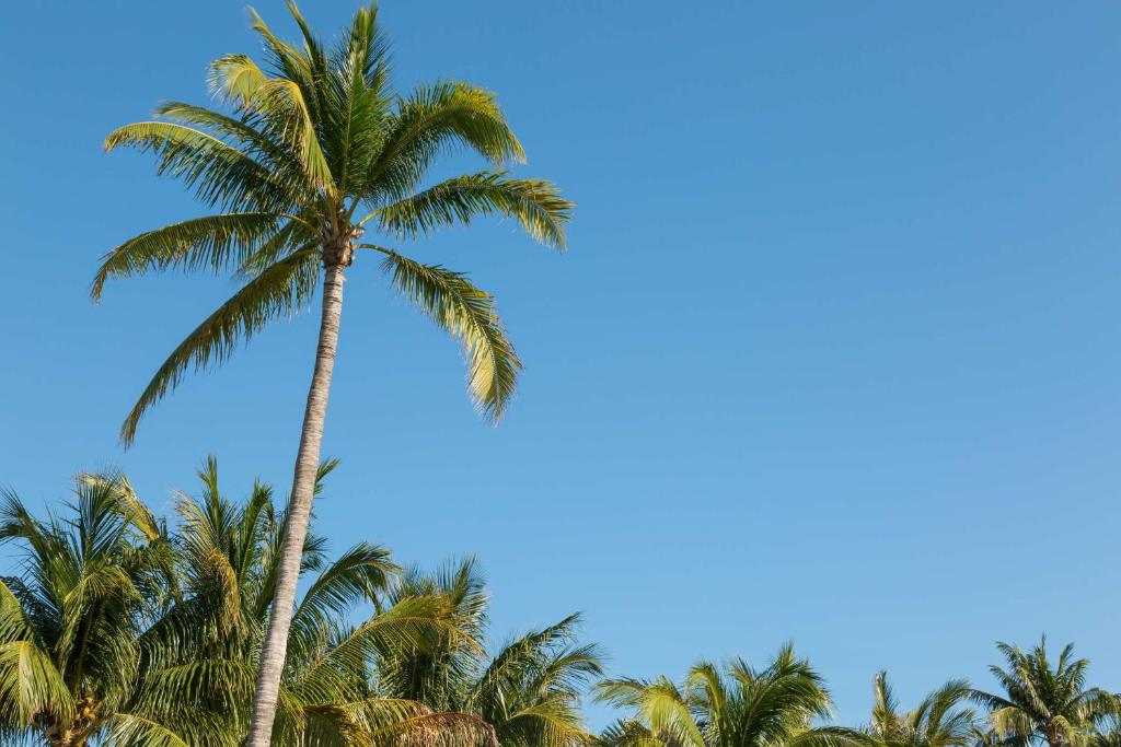 Hilton Garden Inn Key West / The Keys Collection, Key West (updated ...