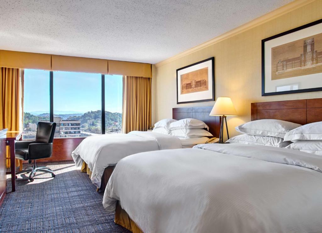 Hilton Knoxville Take A Look Inside Hilton Knoxville Airport's New