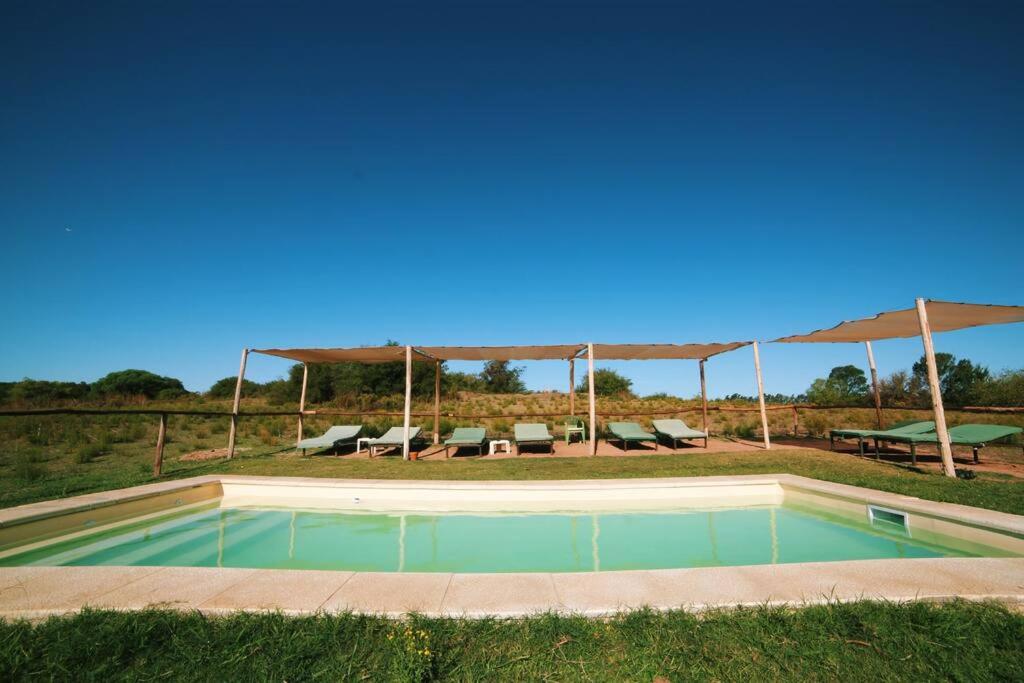 Escapate a la Tiny House del Bosque, Los Cerrillos (updated prices 2024)