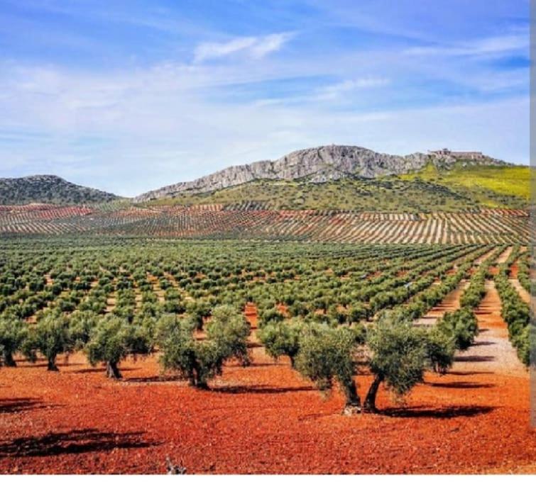 Casa de Tina y Cora, Mora – Updated 2024 Prices