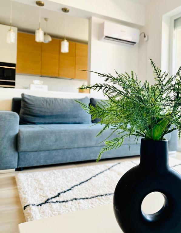 Lotus Luxury Apartment, Oradea (updated prices 2025)