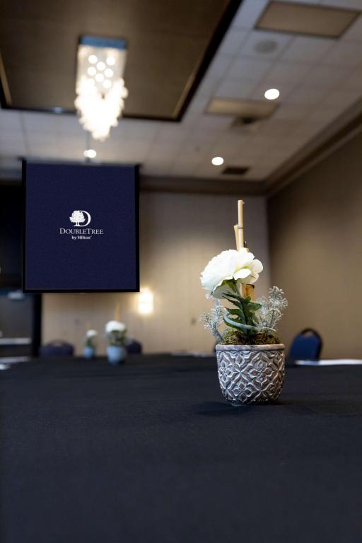 DoubleTree by Hilton Bloomington, Bloomington (updated prices 2025)