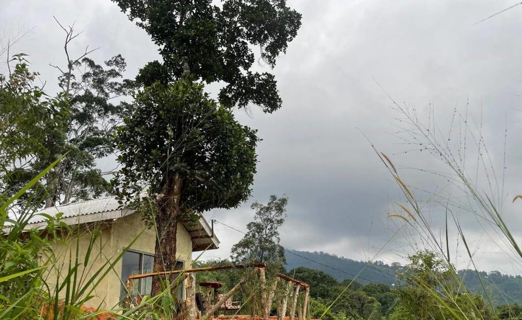 Solitary Cottage Dunhinna, Teldeniya (updated prices 2025)