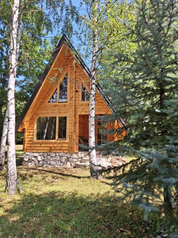 Forest Rhapsody Brezna, Plužine (precios actualizados 2026)