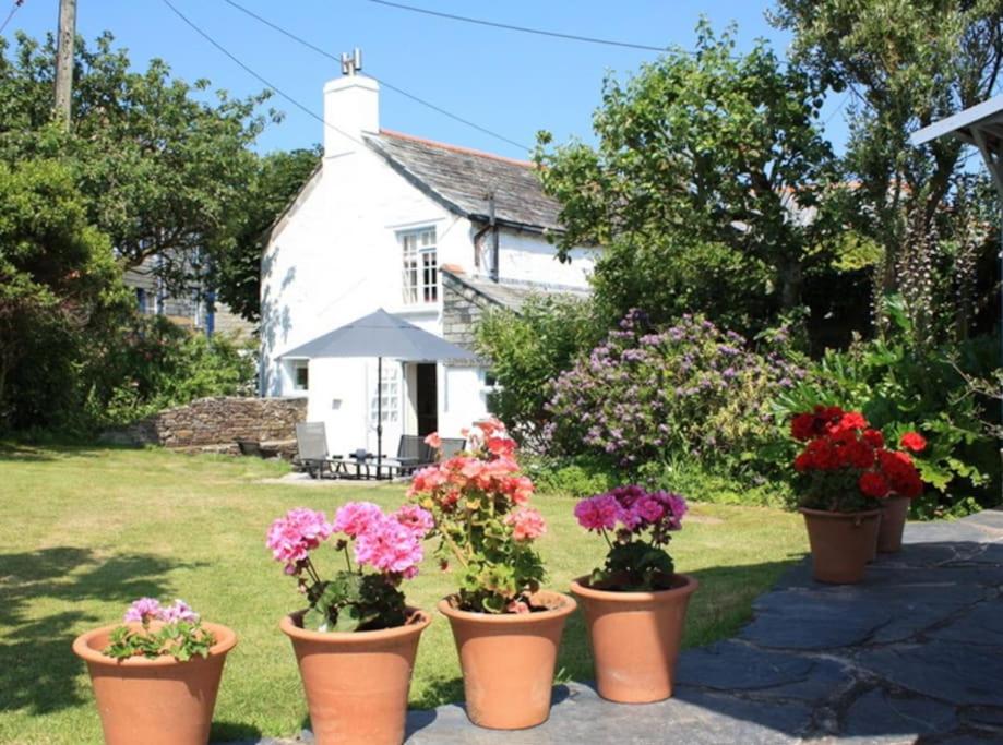 Brook Cottage is a traditional fisherman's cottage, Port Isaac (updated ...