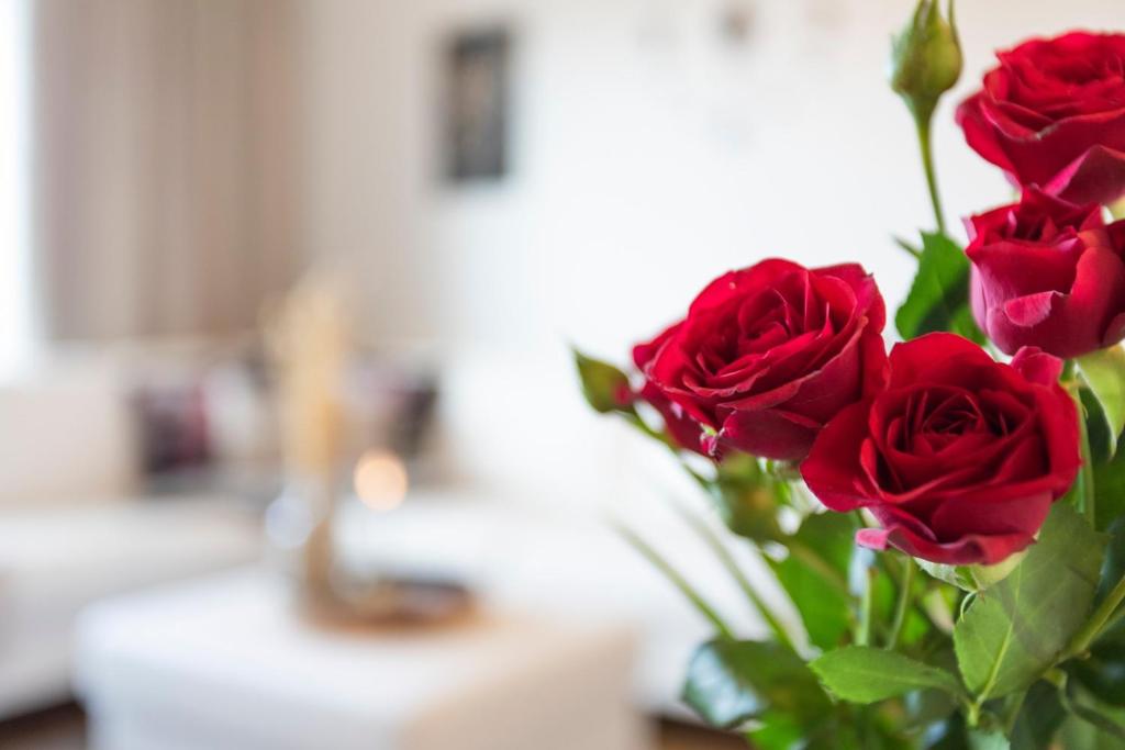 Vasko luxurious suites, Hiisi, Rovaniemi (updated prices 2026)