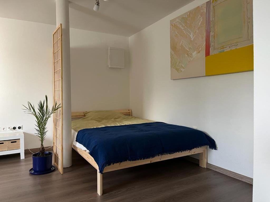 Jask, Bratislava (updated prices 2024)