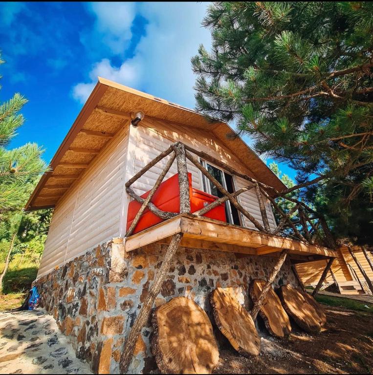 BioFarm Gramsh, Kodovjat (updated prices 2025)