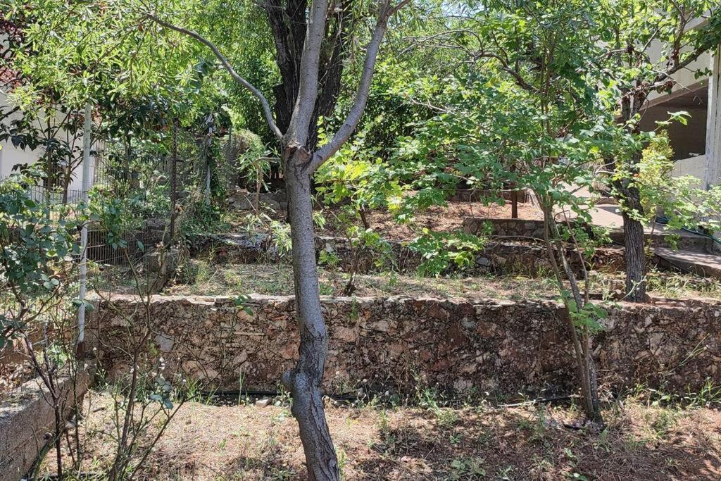 Vilia village (Grécia Vília) - Booking.com