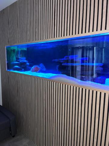 Fish Tanks In Apartments