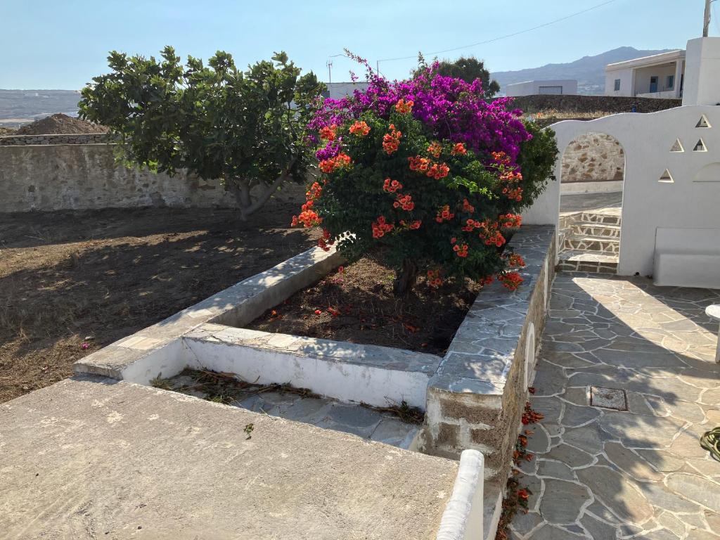 Lina's House, Kalo Livadi (updated prices 2025)